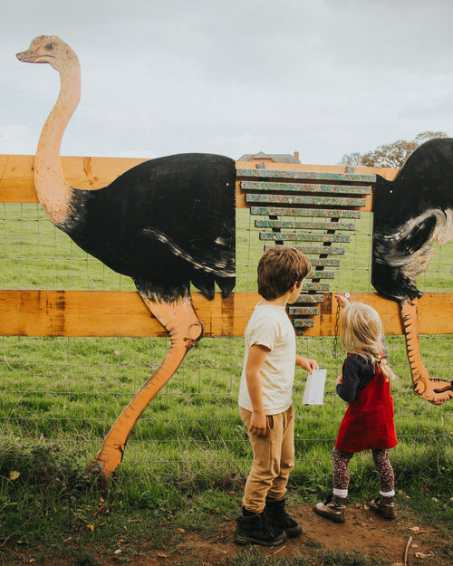 Tractor Trail | Greendale Farm Shop