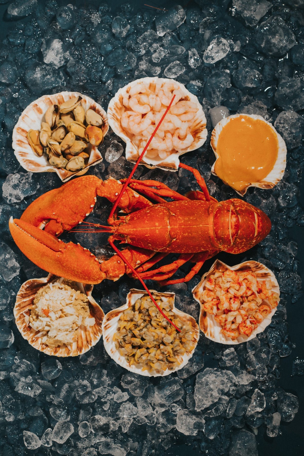 Lobster Seafood Selection | Greendale Farm Shop
