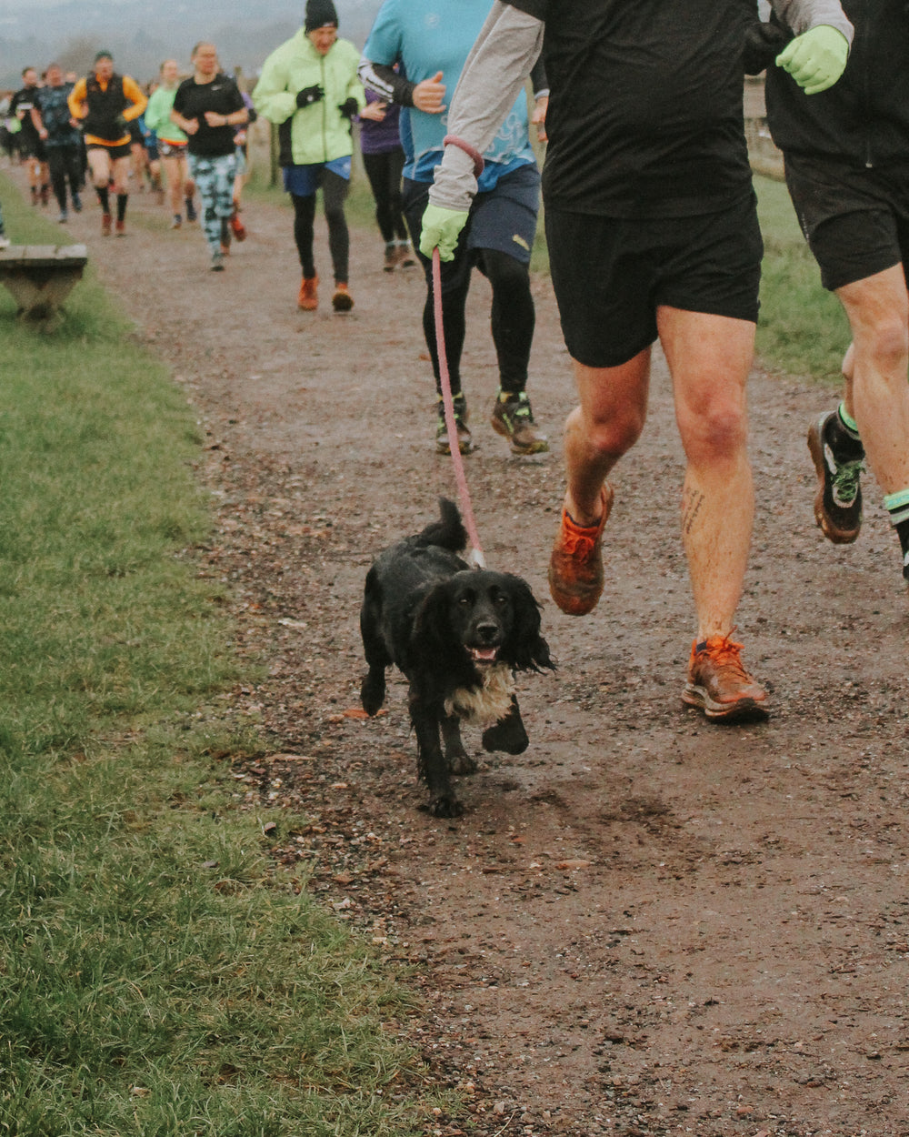 Greendale Parkrun - Weekly 5k Event in Exeter - Greendale Farm Shop