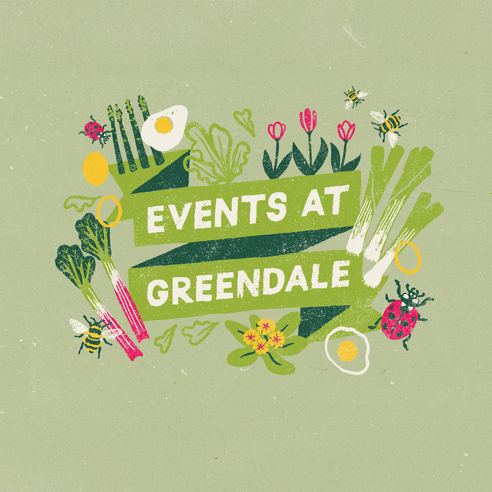 Slip and Slide - Summer Waterslide in Exeter - Greendale Farm Shop