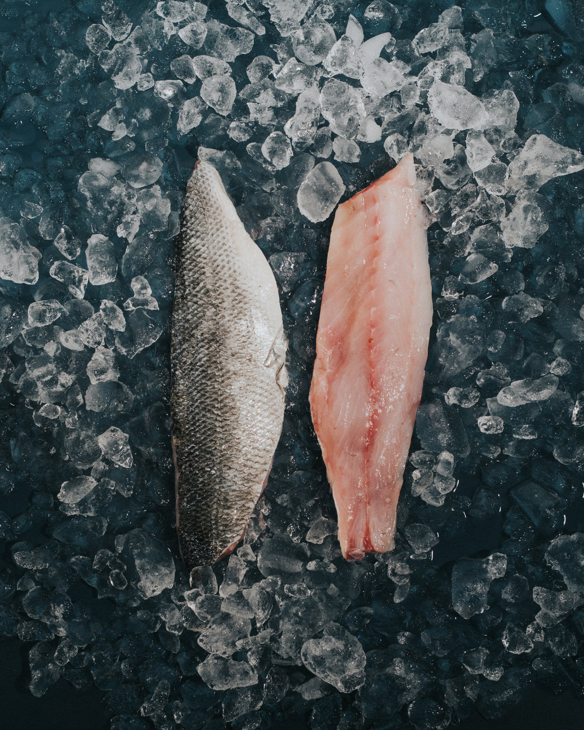 Sea Bass Fillets (Farmed) | Greendale Farm Shop