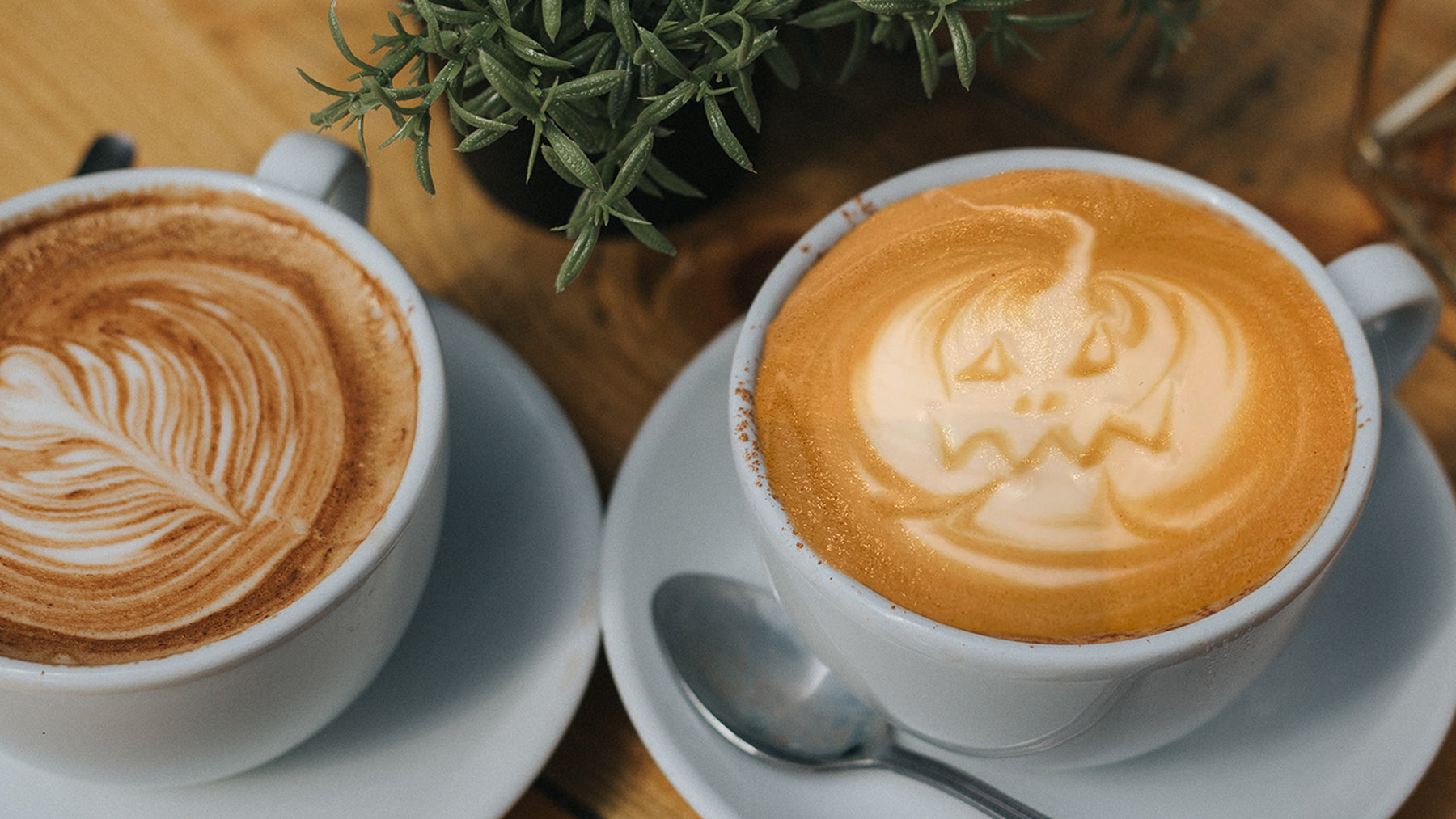 Cafe & Restaurant - Greendale Kitchen at Greendale Farm Shop